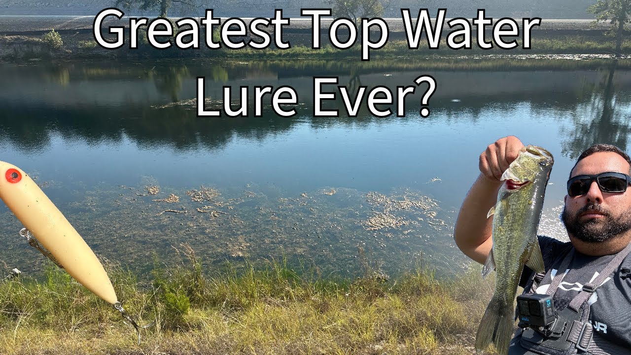 How To Fish Using A Spook (Ultimate Bass Top Water Lure) - YouTube