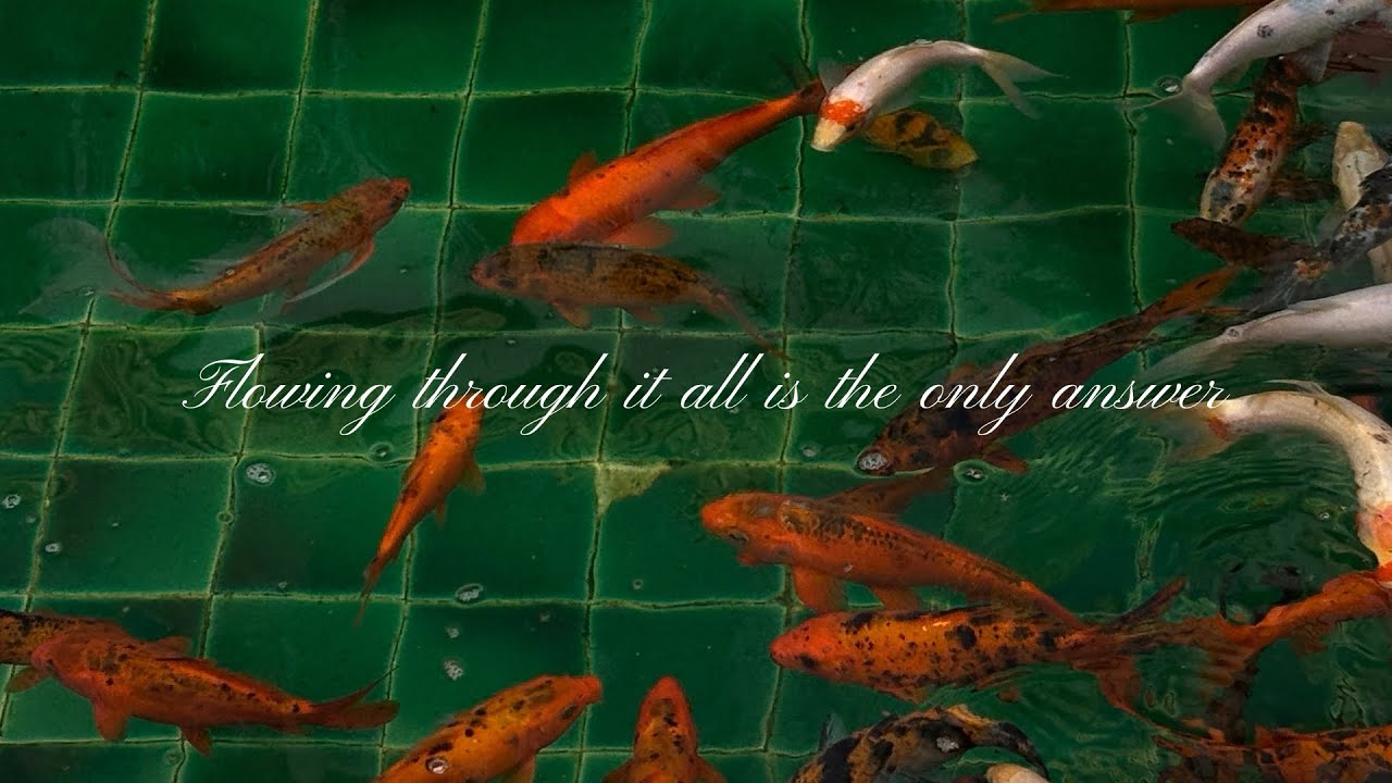 If my life were a coming of age movie. - YouTube