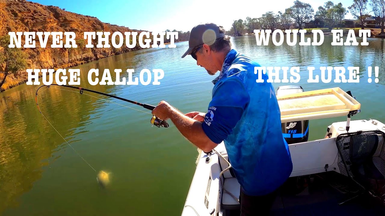 NEVER THOUGHT HUGE CALLOP WOULD EAT THIS LURE ! EP 84 - YouTube