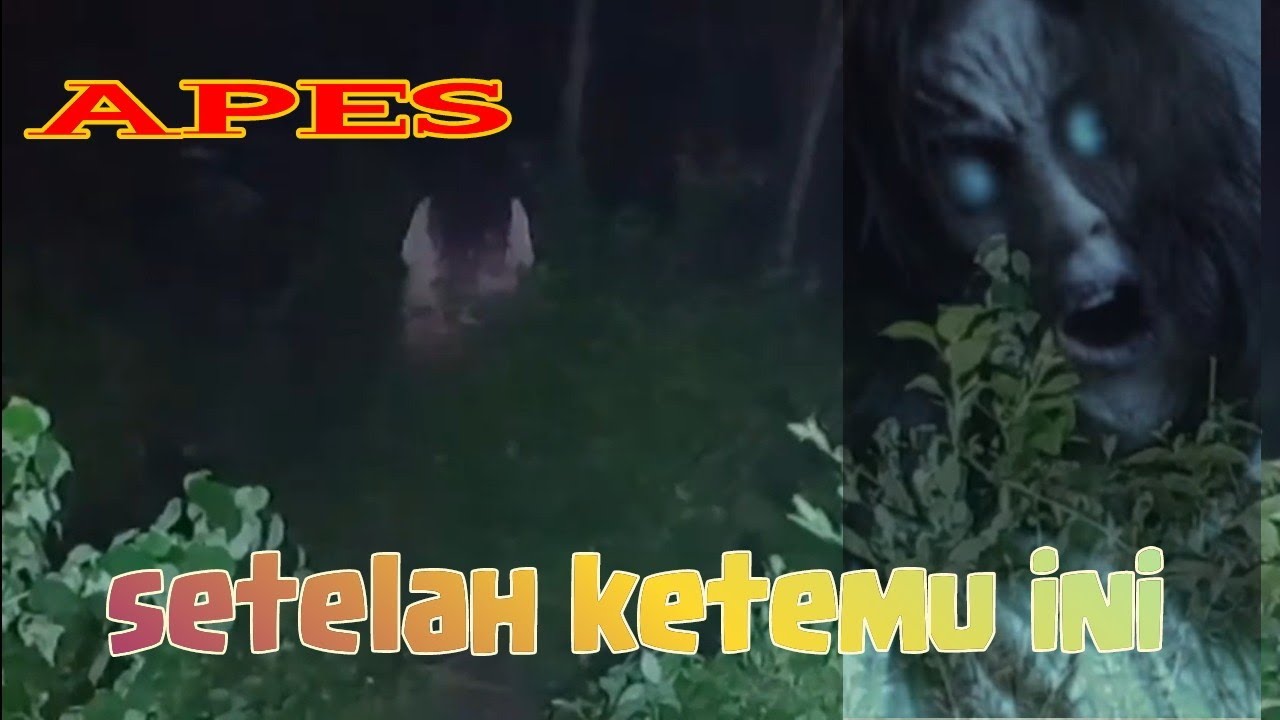 LIVE MISTERI || MASUK ALAS ANGKER - YouTube