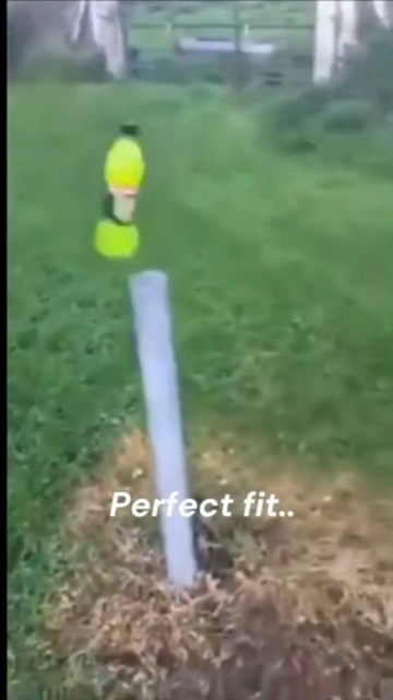 PERFECTLY FITTING THINGS (PART #5)😮 || Perfect Things || Ch Perfect # ...