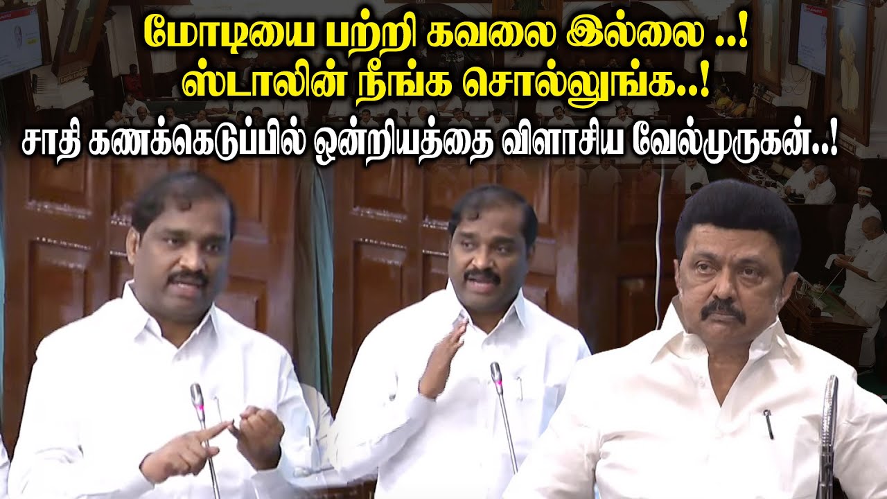 மோடியை பற்றி கவலை இல்லை..! ஸ்டாலின் நீங்க சொல்லுங்க ..! - Velmurugan ...
