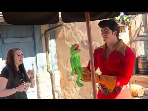 Gaston meets Kermit !! Evil Step Sisters & Peter Pan (Meet & Greet ...