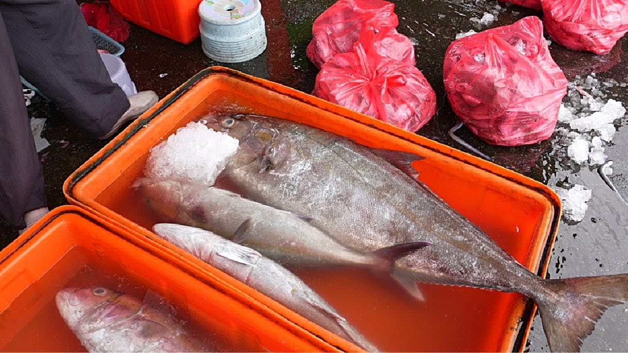 Master Fishmonger's Skillful Filleting of Wild Red Snapper - YouTube