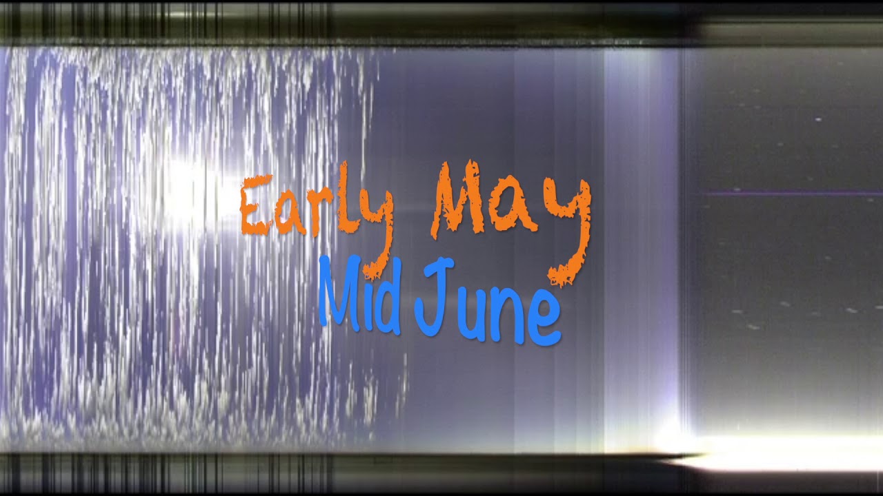 The Noah Report - YouTube