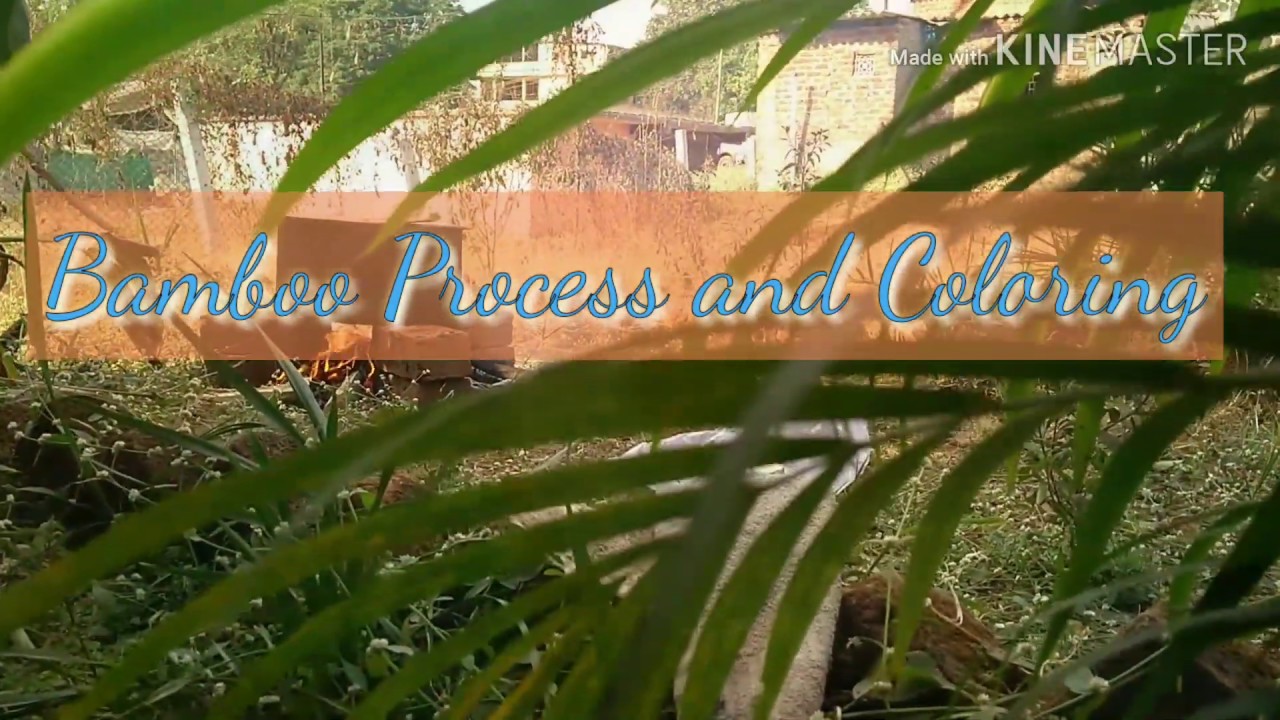 Bamboo Process for Coloring| simple method - YouTube