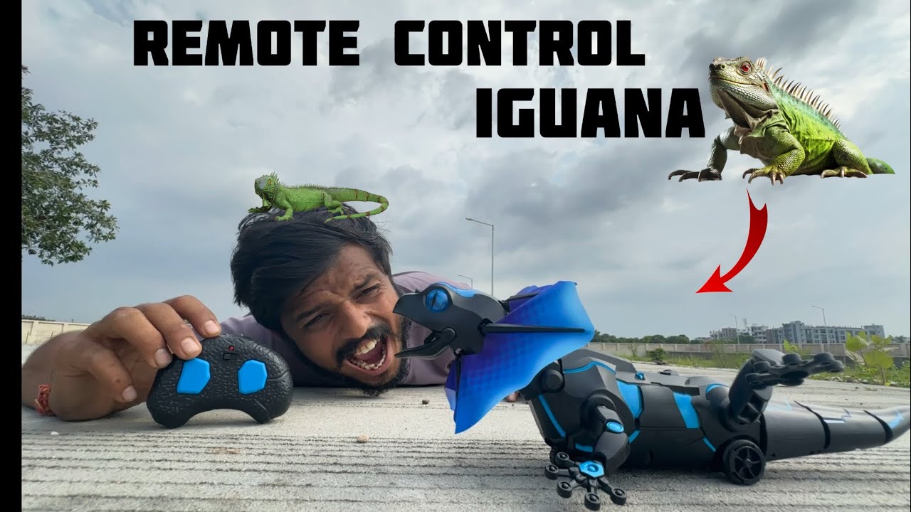 Remote Control (RC) Realistic Robotic Lizard Unboxing Testing Fun ...