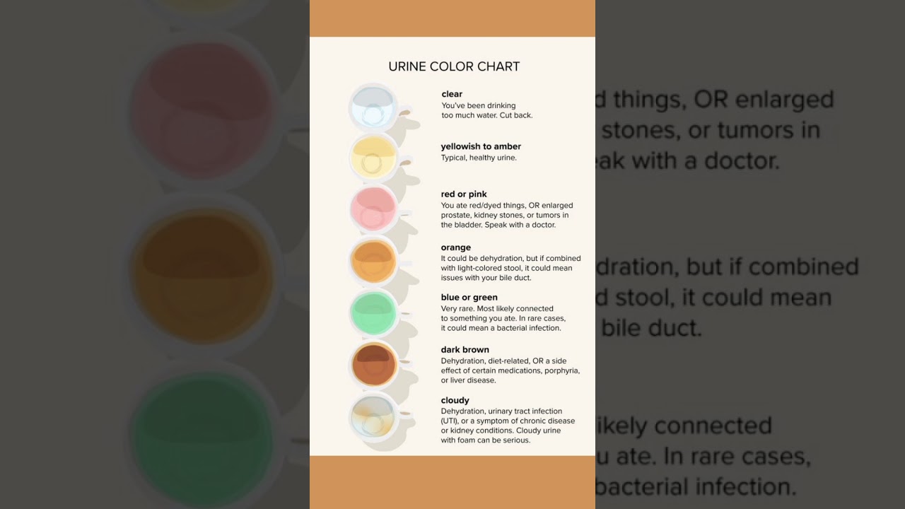 Bile Color Chart