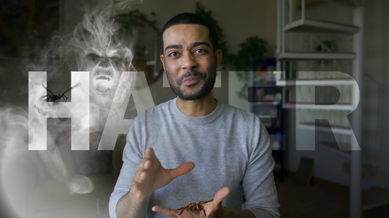 Seeing Spiders In Sleep Paralysis? (What Spiders Mean In The Astral ...