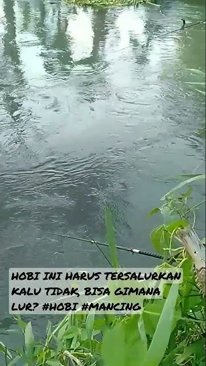 Hobi Mancing #hobi #mancing @EJM57 - YouTube