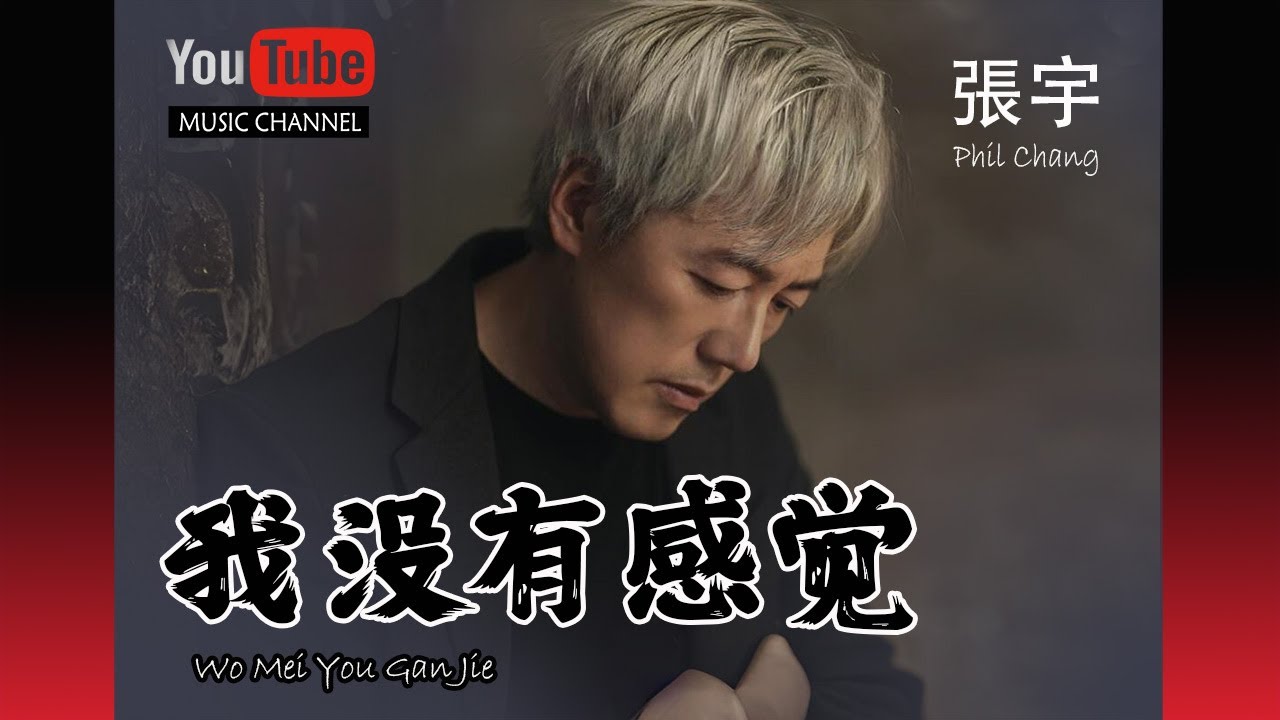 我没有感觉 WO MEI YOU GAN JIE - 張宇 Zhang Yu Phil Chang Lyrics 歌詞 Pinyin Music Video - YouTube