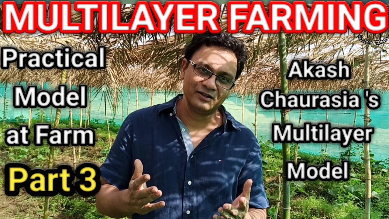 MULTILAYER FARMING | PART 3 | AKASH CHAURASIA 'S MULTI LAYER MODEL ...