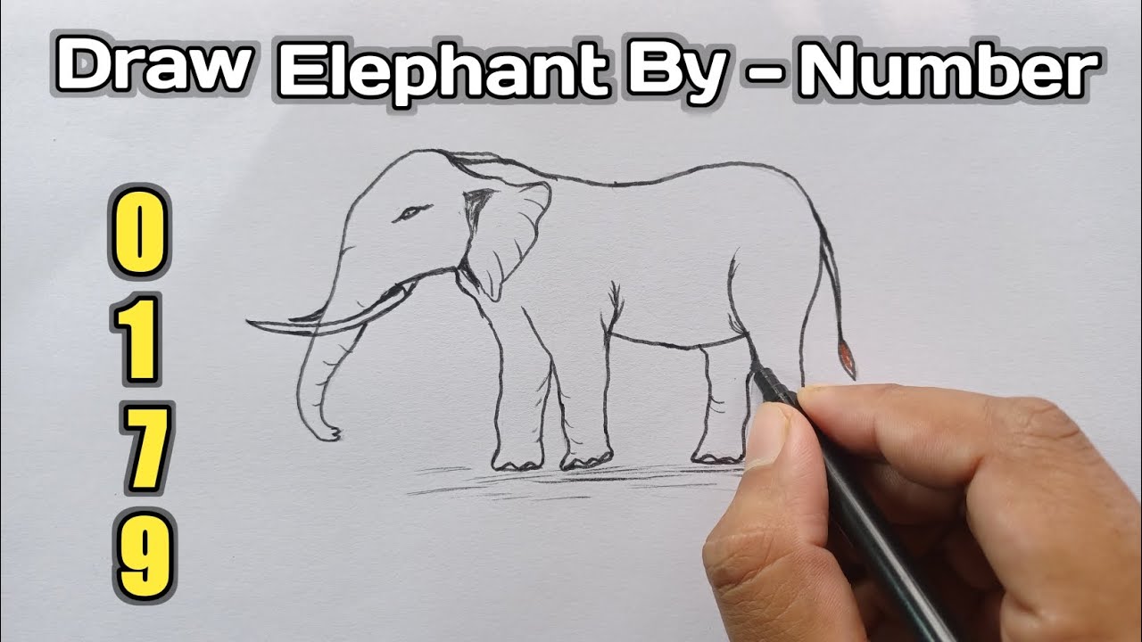 How to draw Elephant by using number ?😱 - YouTube