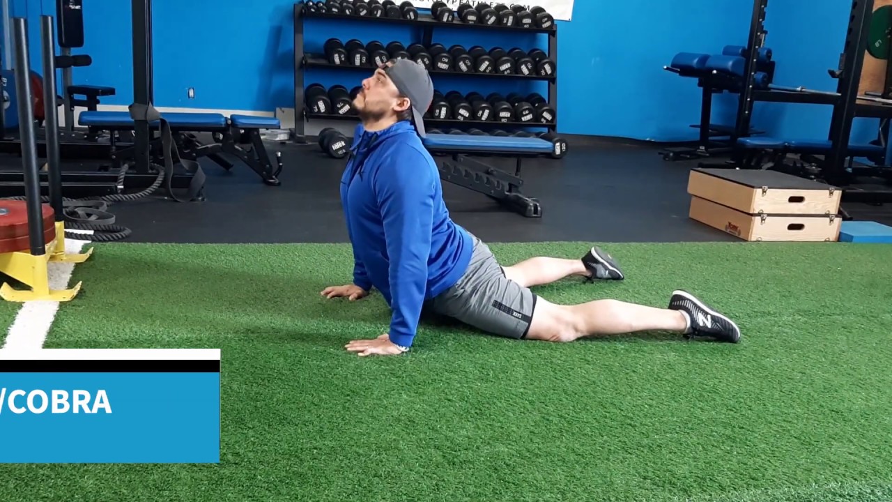 Child Pose Cobra - Mobility / Recovery - YouTube
