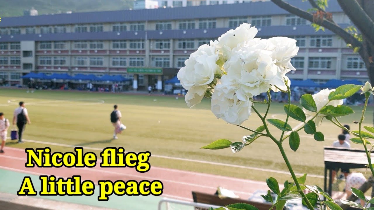 Nicole flieg - A little peace - YouTube