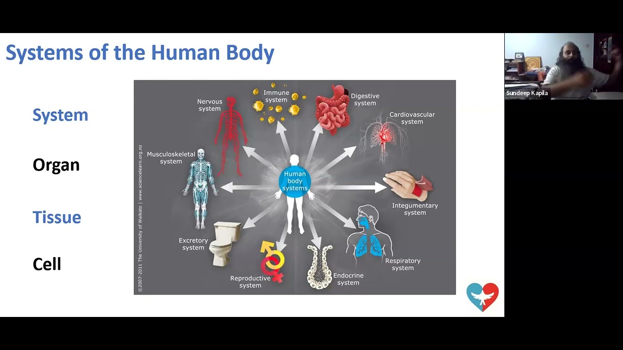 Introduction to Nervous System and Other Human Organ Systems - YouTube