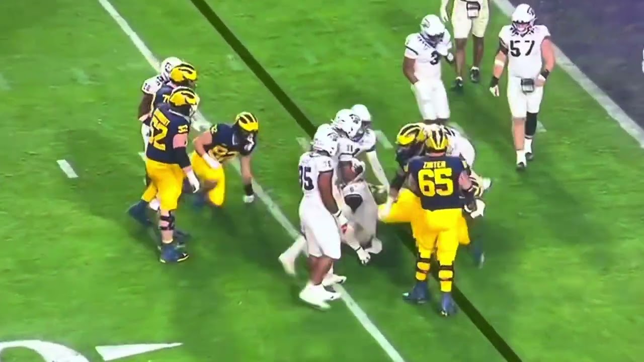 Michigan Offense vs TCU 2022