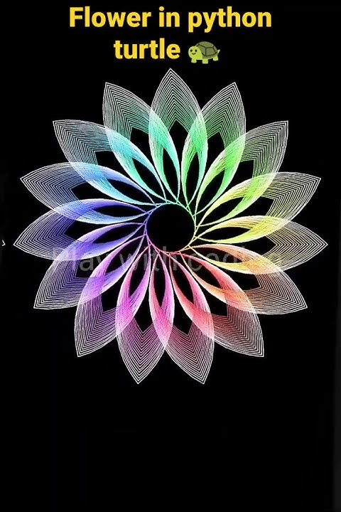 A Beautiful Flower In Python Turtle Graphics Pythonturtle Python Codingstatus Youtube