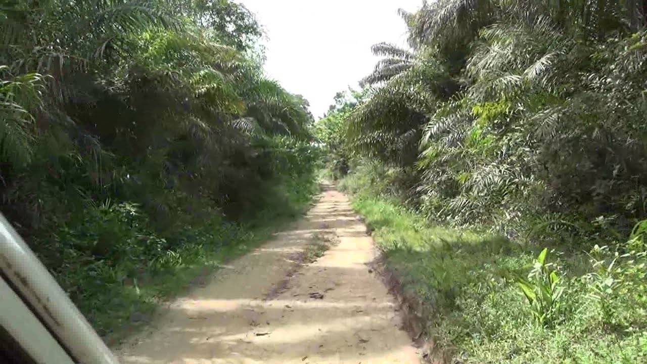 SIERRA LEONE, THE ROAD TO SHENGE, 2012 - YouTube