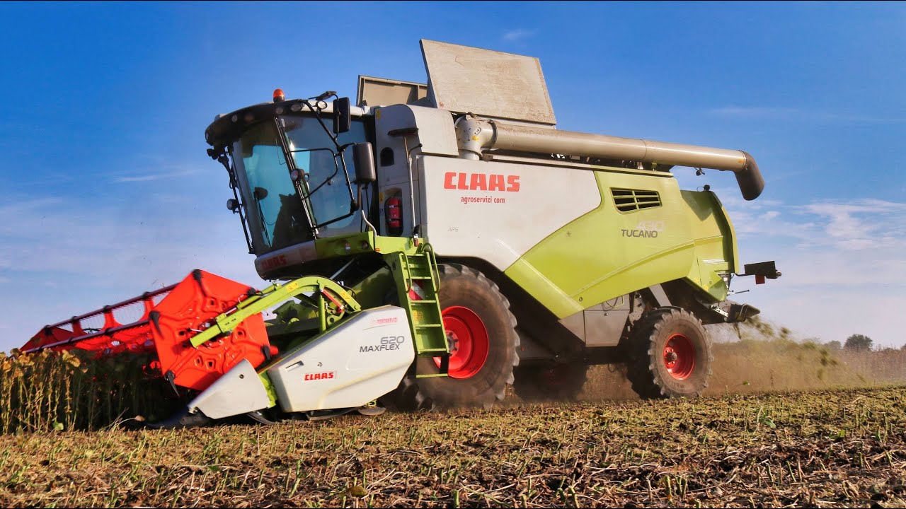 Trebbiatura Soia 2023 - Claas Tucano 430 + Claas Maxflex 620 | by Ale02 - YouTube
