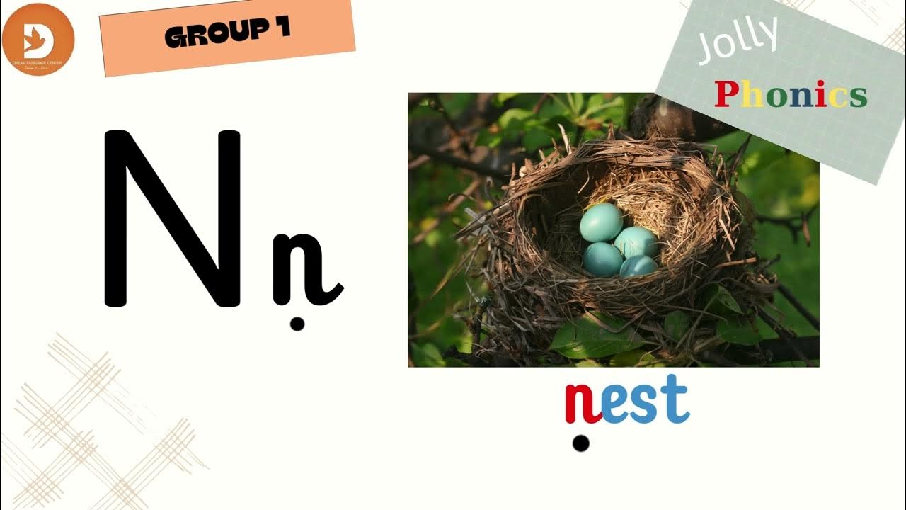 Phonics - Letter N - YouTube