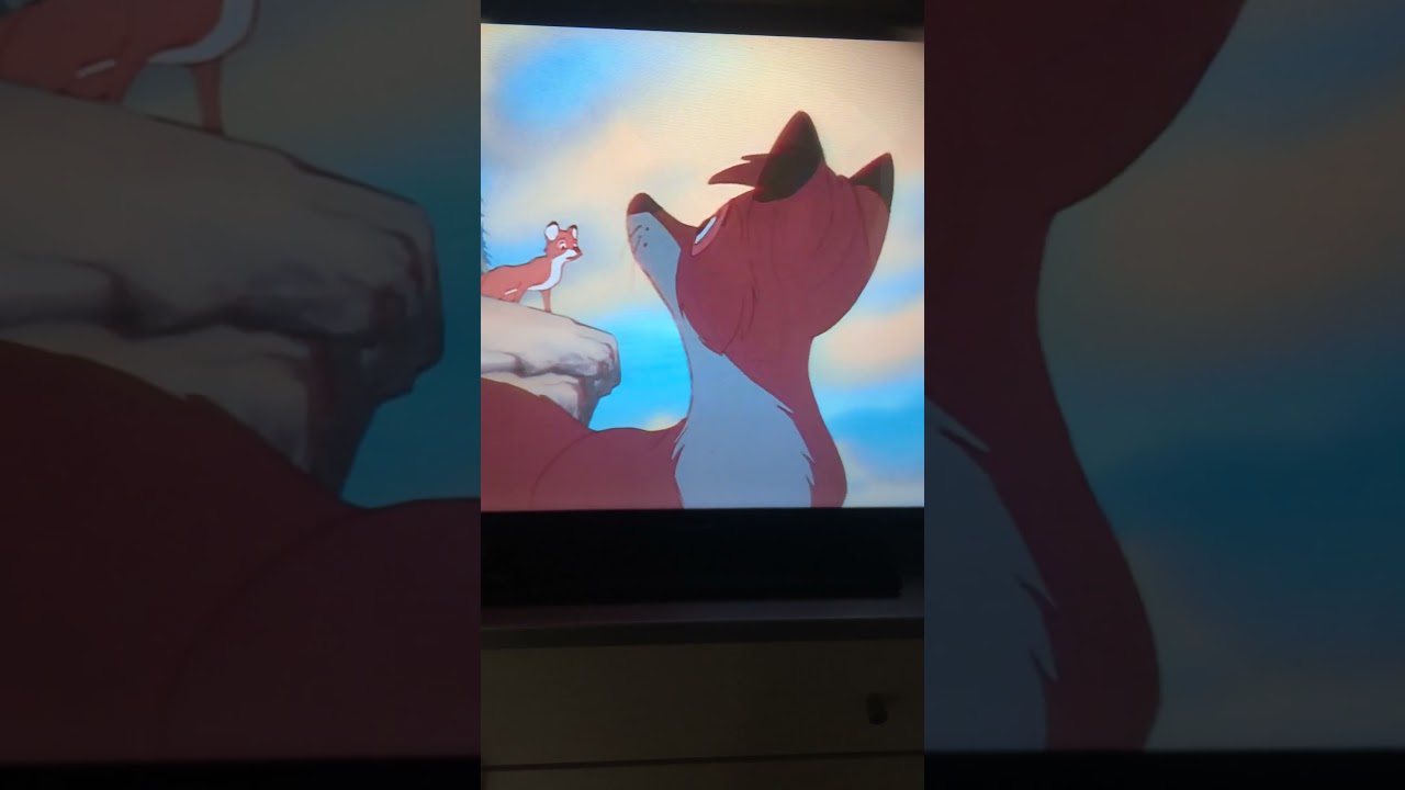 Fox and hound vs bear - YouTube