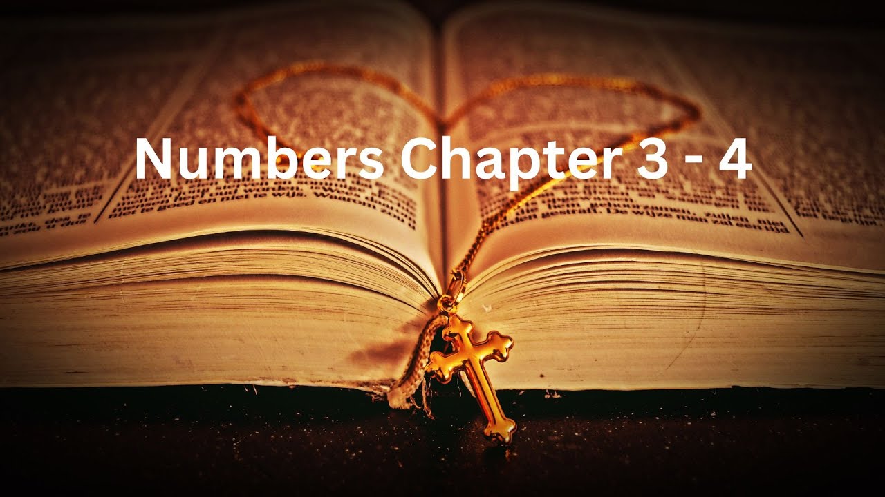 Exploring Numbers Chapters 3-4, daily reading of the bible #audiobible ...