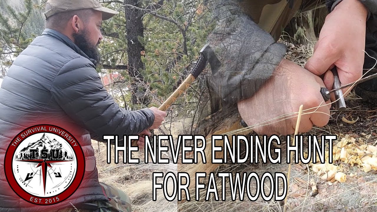 How to find fatwood - YouTube
