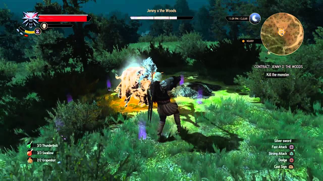 The Witcher 3 Wild Hunt Nightwraith Battle Walkthrough - YouTube