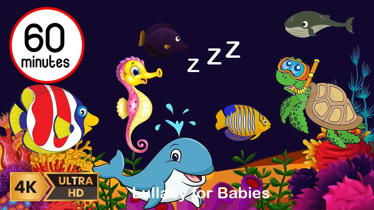 60 minutes Lullaby for Babies To Go To Sleep nursery rhymes | Aquarium ...