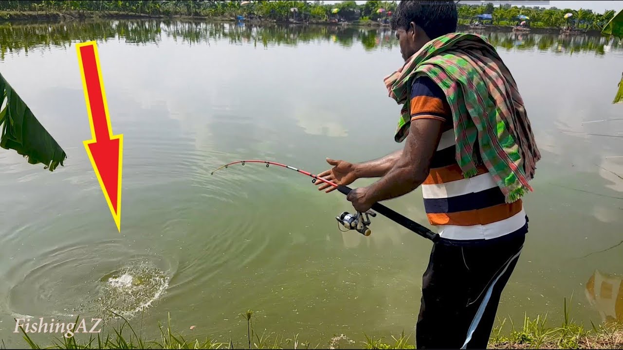 Best Fishing Videos | Hook Fishing | Old Man Catching Fish With Rod ...