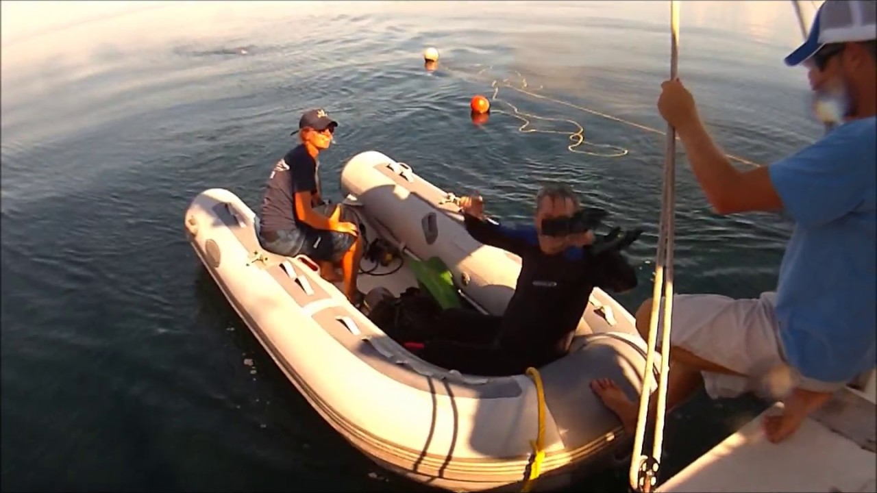 Bahamas Liveaboard on Cat Ppalu #2 - YouTube