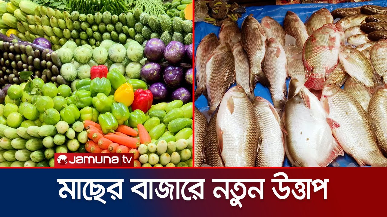 মধ্যবিত্তের ভরসা তেলাপিয়া-পাঙ্গাস! | Bazar | Fish | Vegetable | Jamuna ...