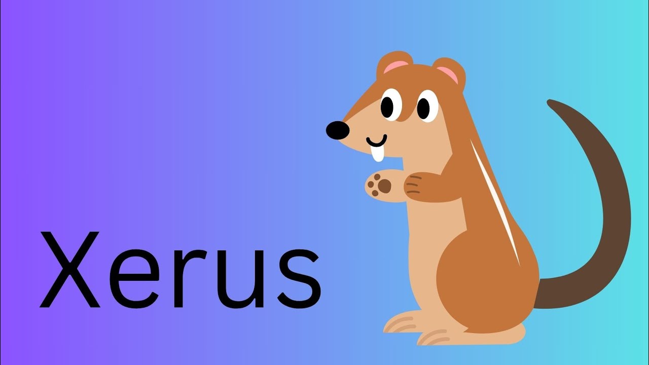 drawing for xerus🐿️🐿️🐿️ - YouTube