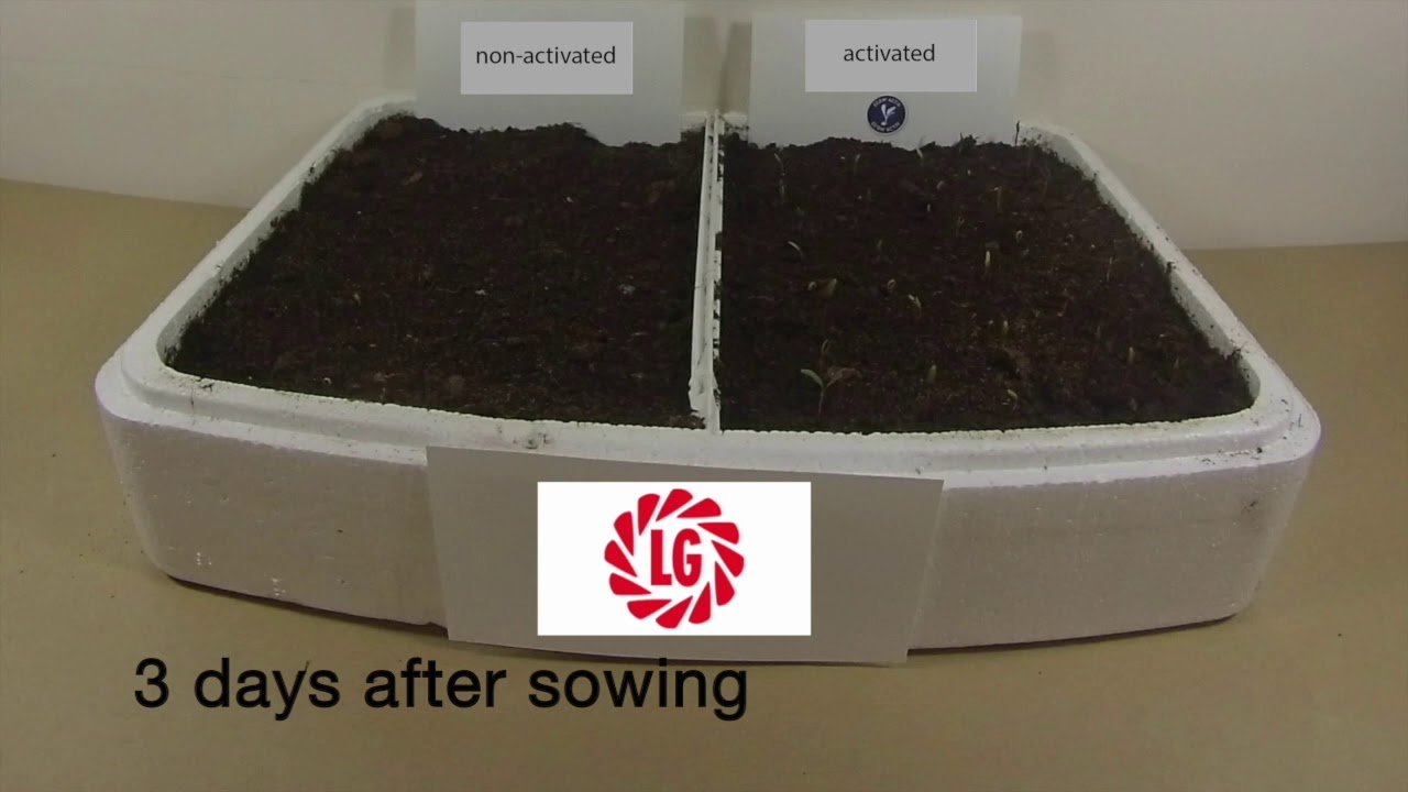 Limagrain Seeds | How to jump-start your seed germination | Time-lapse ...