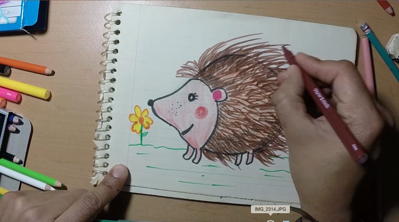 Como hacer un dibujo de un puercoespín para niños pequeños. - YouTube