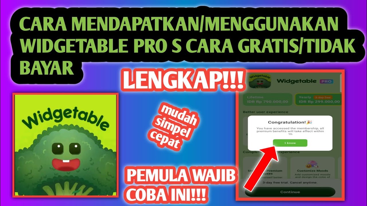 Cara Mendapatkan Widgetable Pro Secara Gratis | Widgetable for android ...
