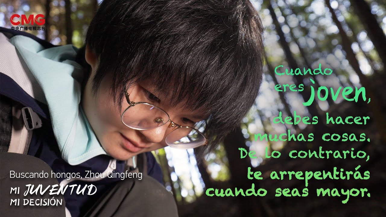 Microcosmo hermoso de hongos bajo la cámara de Zhou Qingfeng, una joven ...