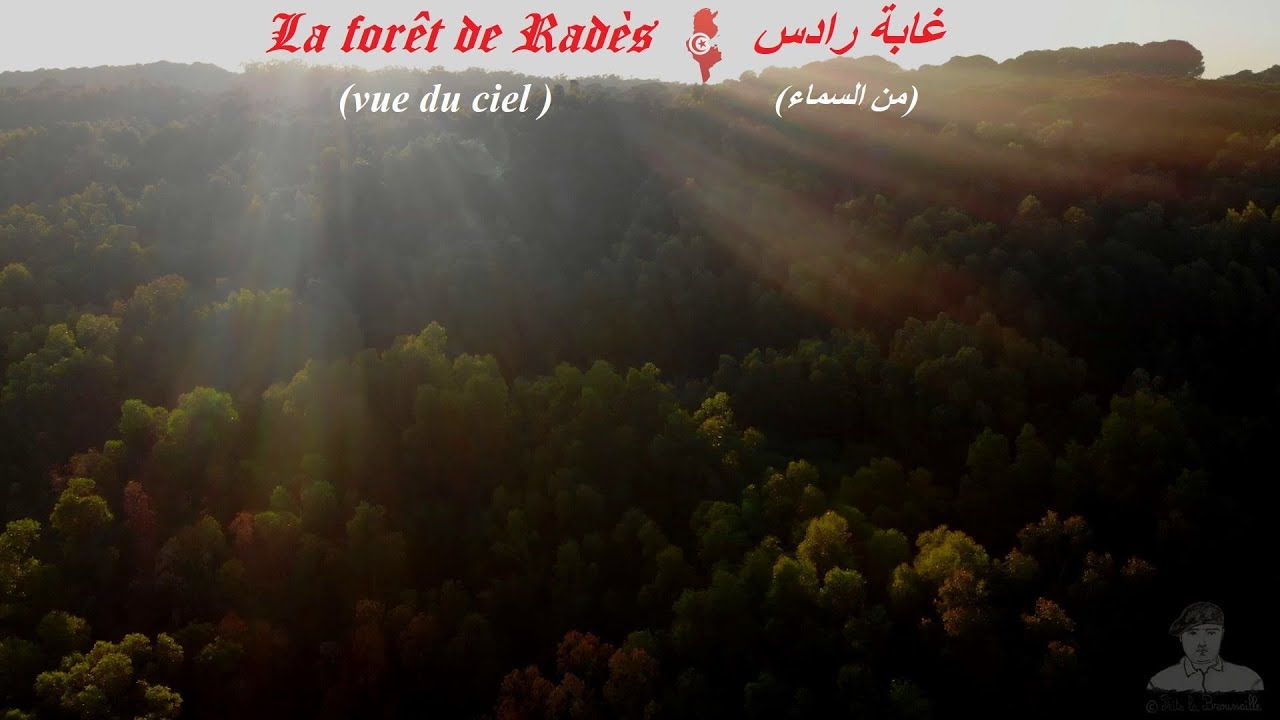 La forêt de Radès, vue du ciel - YouTube