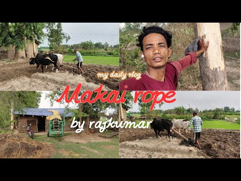 Ma ra baba khet bari ma makai ropaee karyakaram - YouTube