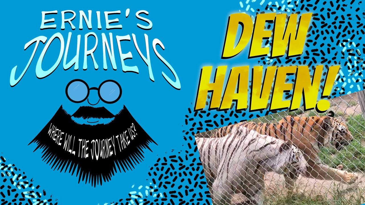 DEW HAVEN Animal Preserve in MOUNT VERNON, MAINE! Lions & Tigers ...