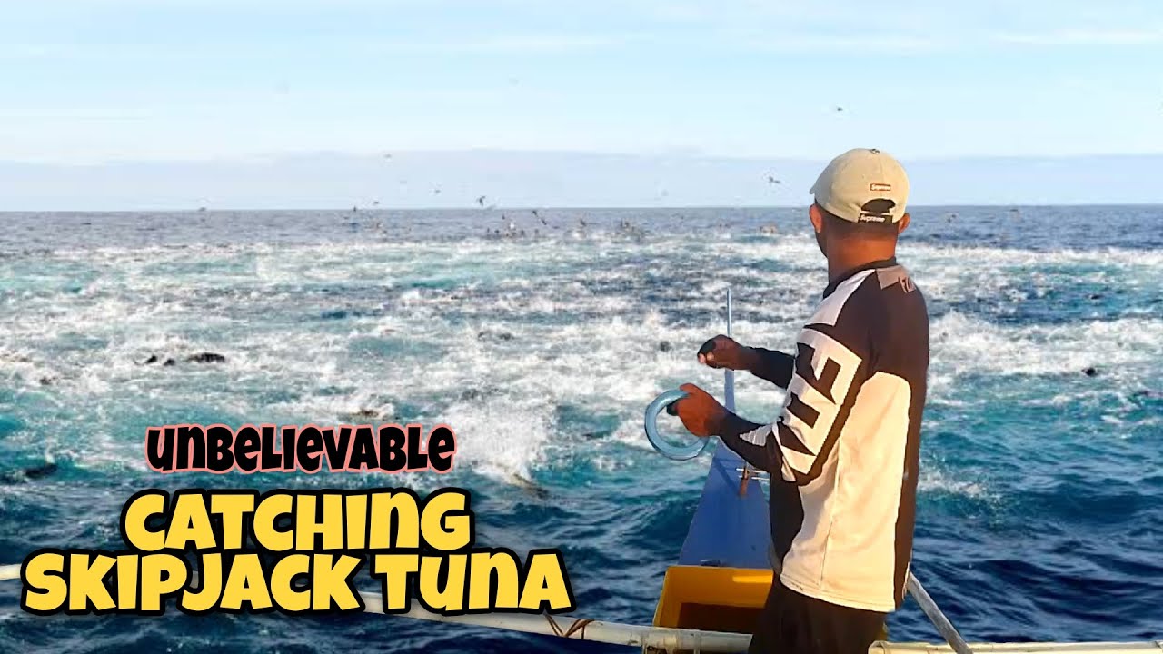 UNBELIEVABLE CATCHING SKIPJACK TUNA |KUYA NICK VLOG - YouTube