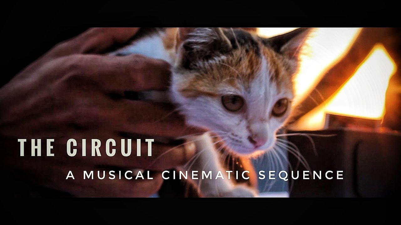 THE CIRCUIT | Cinematic Musical Video| USE HEADPHONE FOR BETTER ...