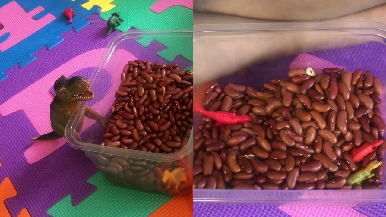 7-Games for Toddlers & Preschoolers with beans| Easy Bean sensory ...