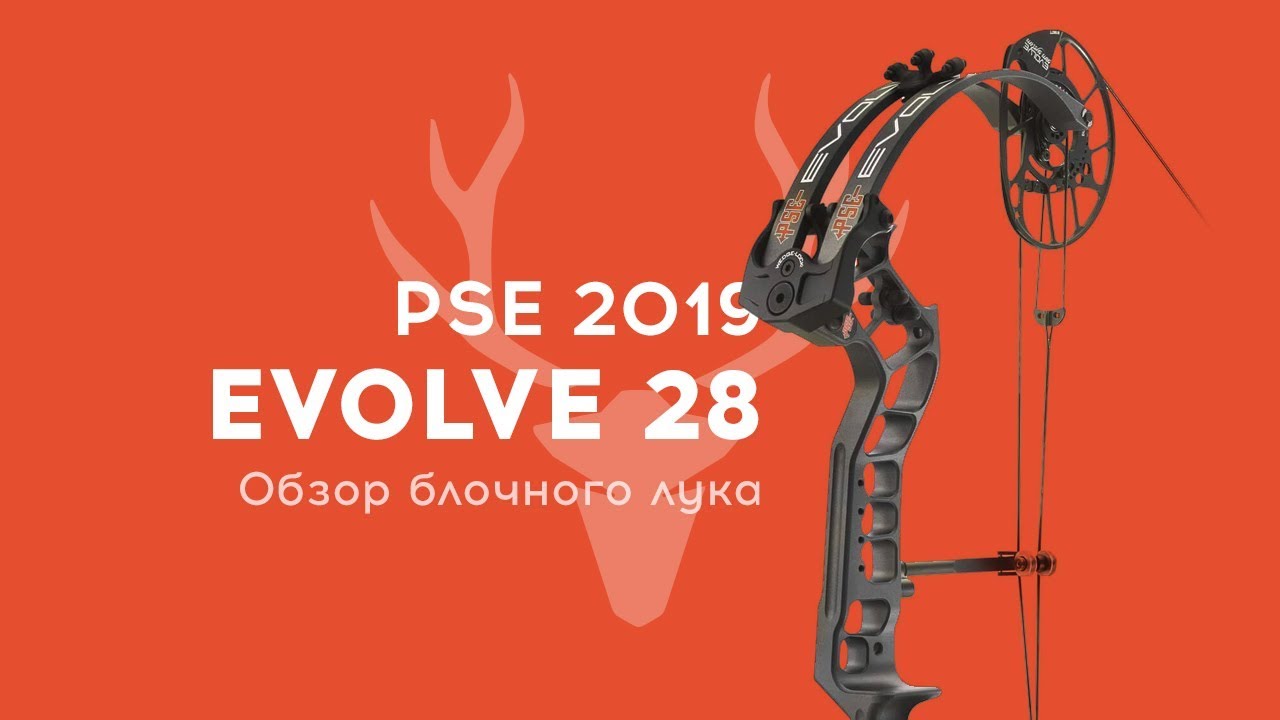Обзор PSE Evolve 28 (2019) - YouTube