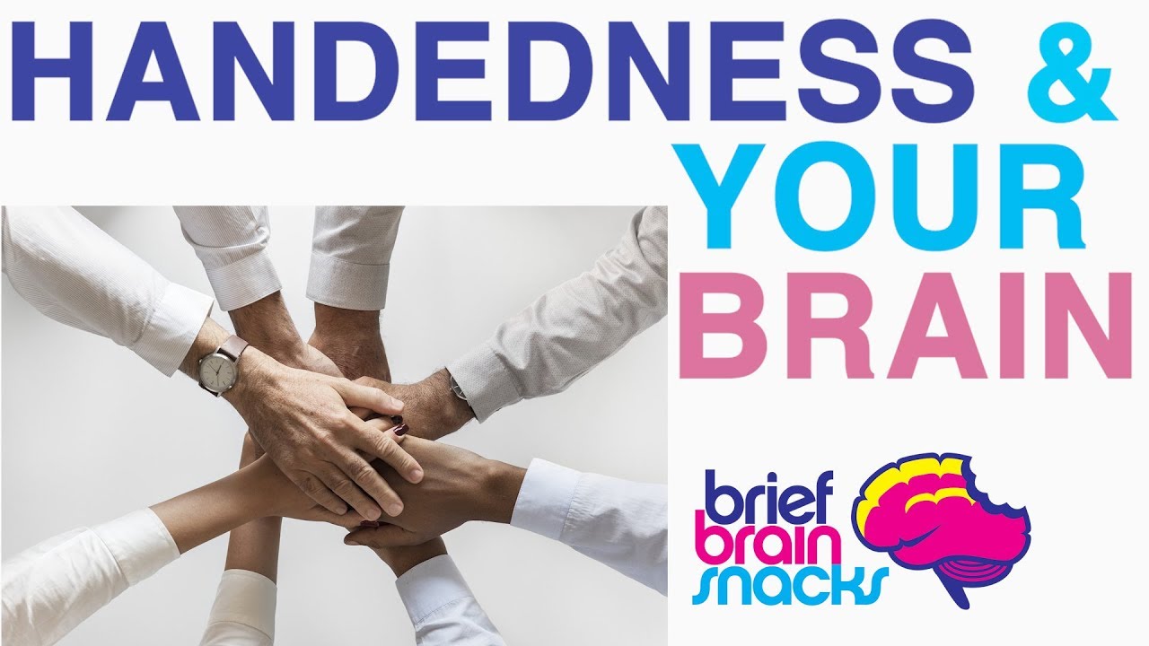 Hand preference and the brain - YouTube