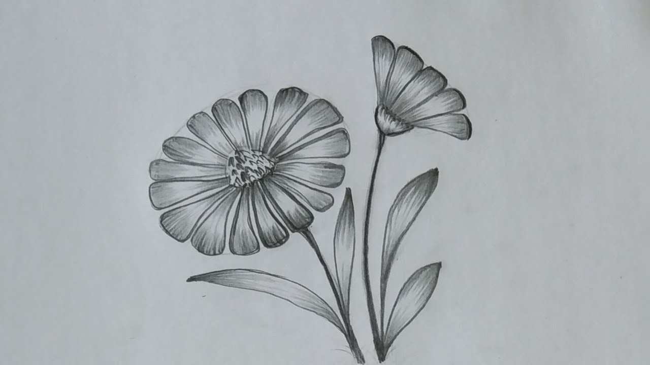 How to draw flower step by step| Flower drawing| Easy flower drawing ...