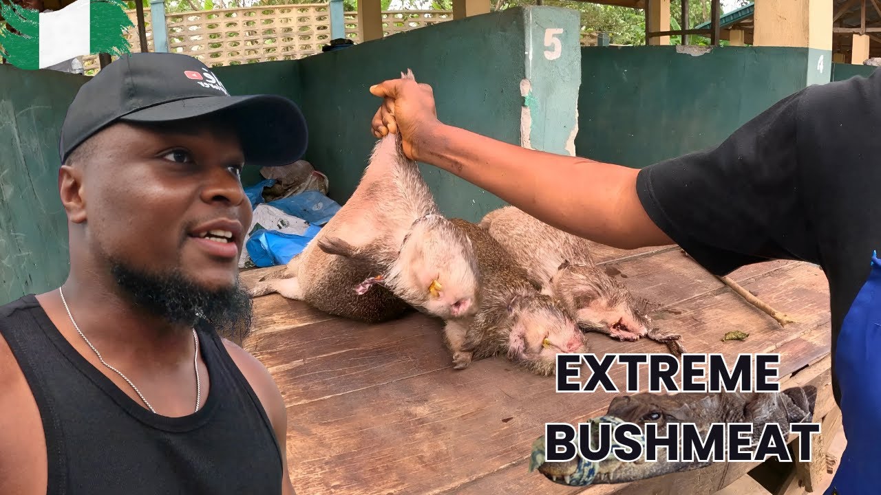 SHOCKING: Extreme bushmeat at the Nigerian wild animal market 🇳🇬 - YouTube