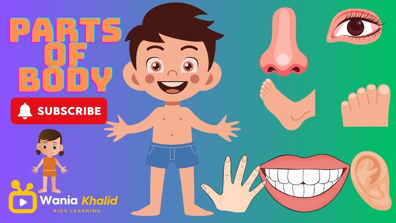 Parts Of Body l Kids Learning l Exercise for Kids l Learn Parts of Body ...