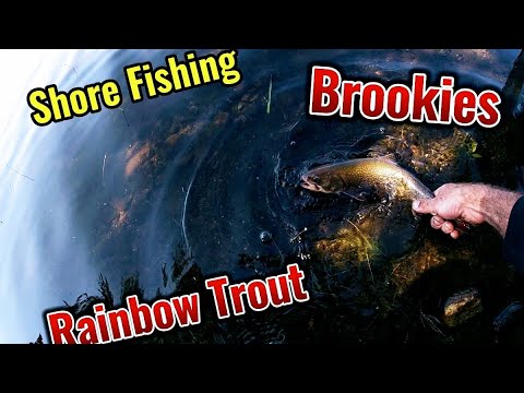 Shore Fishing for Trout and Bass. Brook Trout, Rainbow Trout and ...